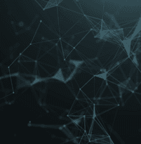 Full Body DEXA Scan for Body Fat & Muscle Analysis | BodySpec